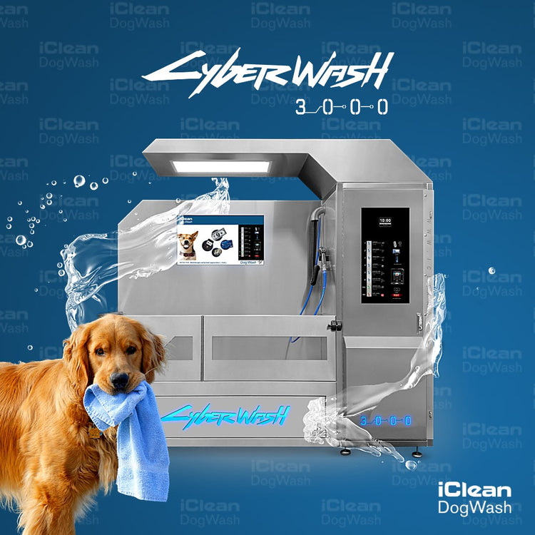 DIY Dog Wash! – The Soapy Spot